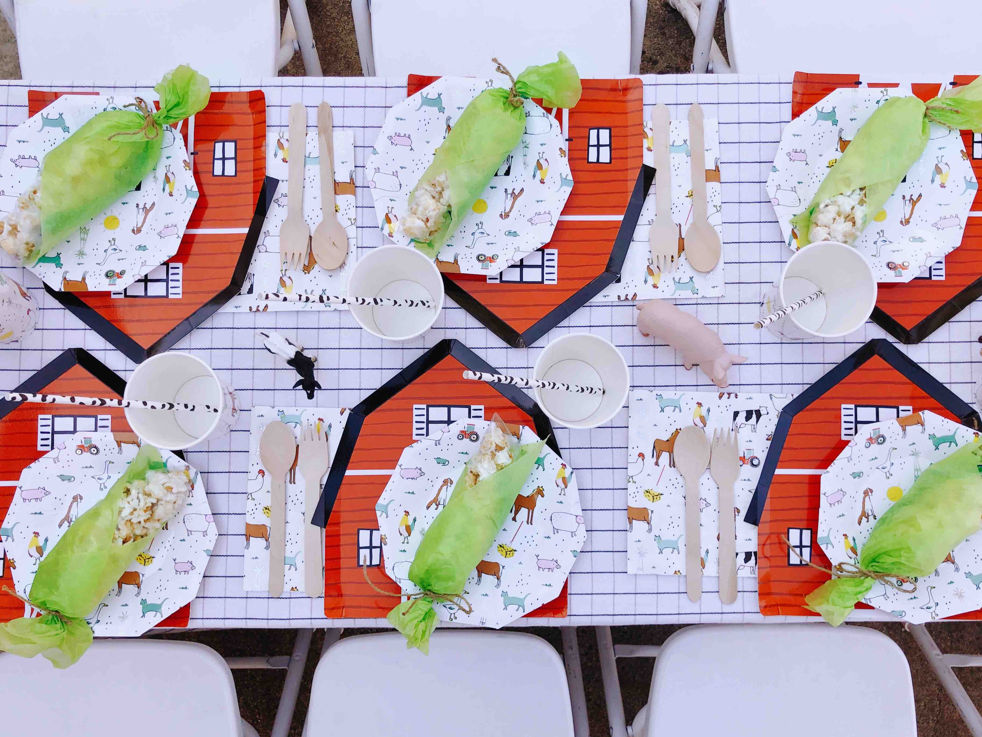 Modern Farm Birthday Party