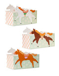 Pony Treat Boxes (Set of 3)