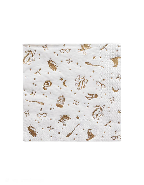 Harry Potter Large Napkins (Set of 24)