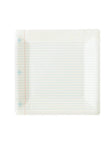 Back To School Notebook Paper Plates (Set of 8)