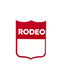 Rodeo Back Number Small Napkins (Set of 20)
