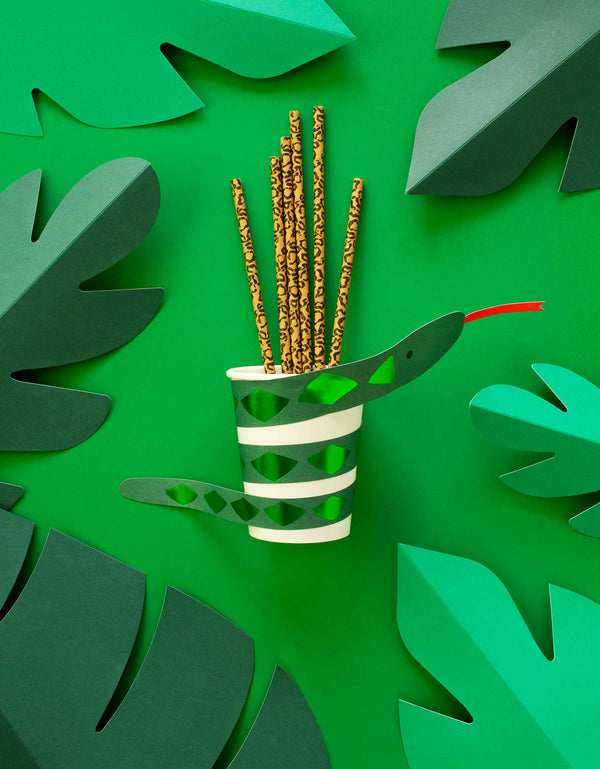 Safari Jungle Collection – Momo Party