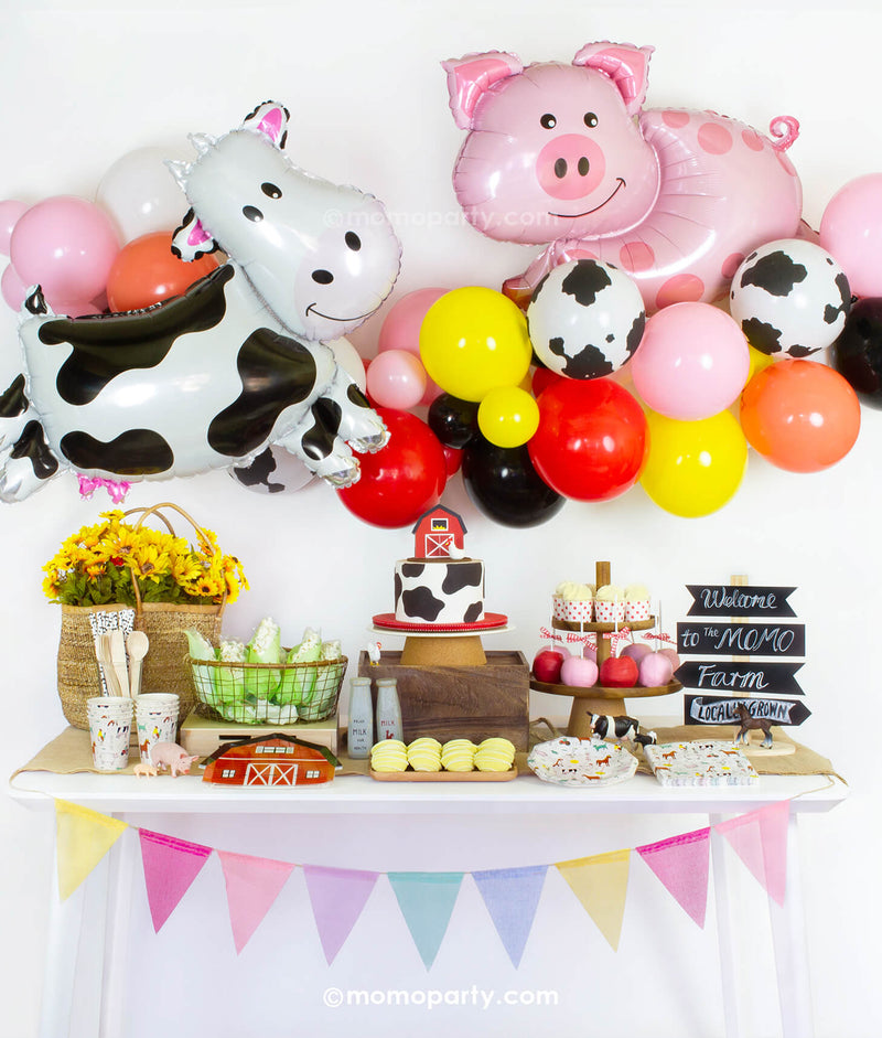 Farm Balloon Cloud Kit – Momo Party
