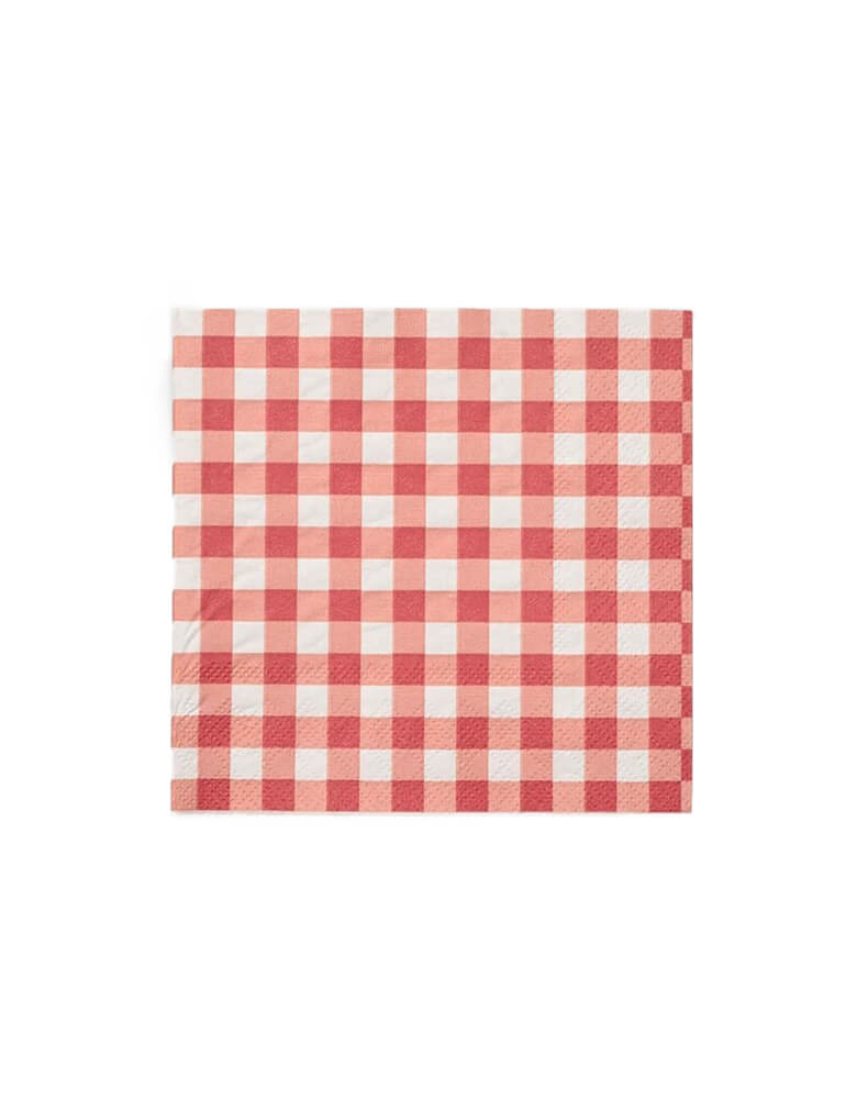 Summer Picnic Small Napkins (Set of 25)